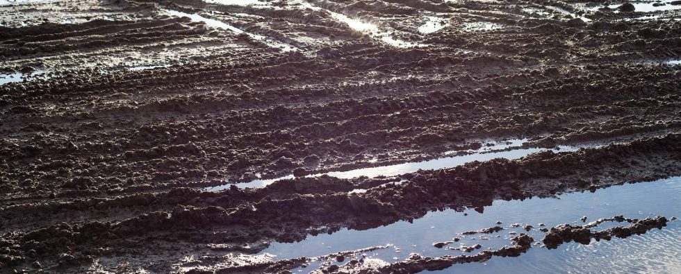 Soil Drying Agents: How to Dry Out Soil - Mintek Resources